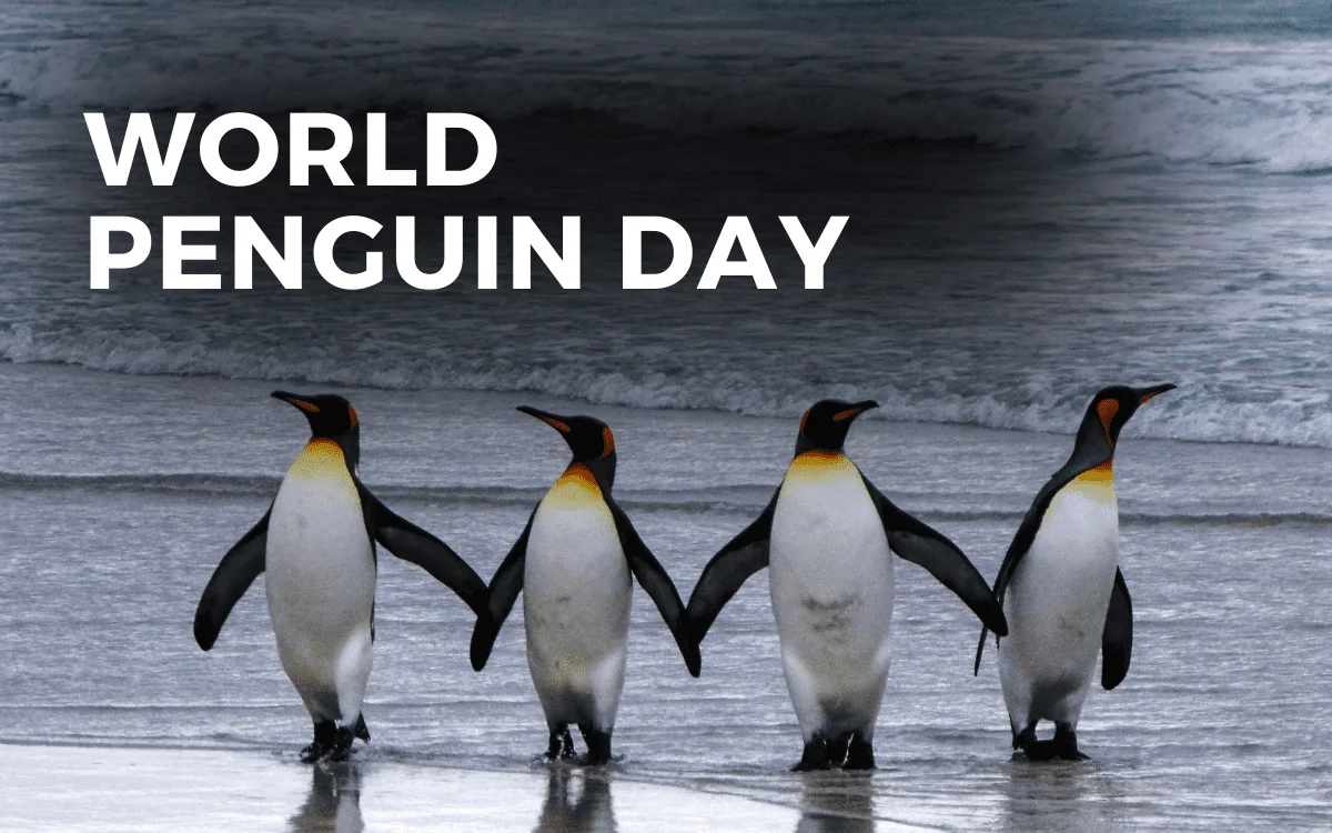 World Penguin Day Quotes Penguin Foundation • Celebrating World